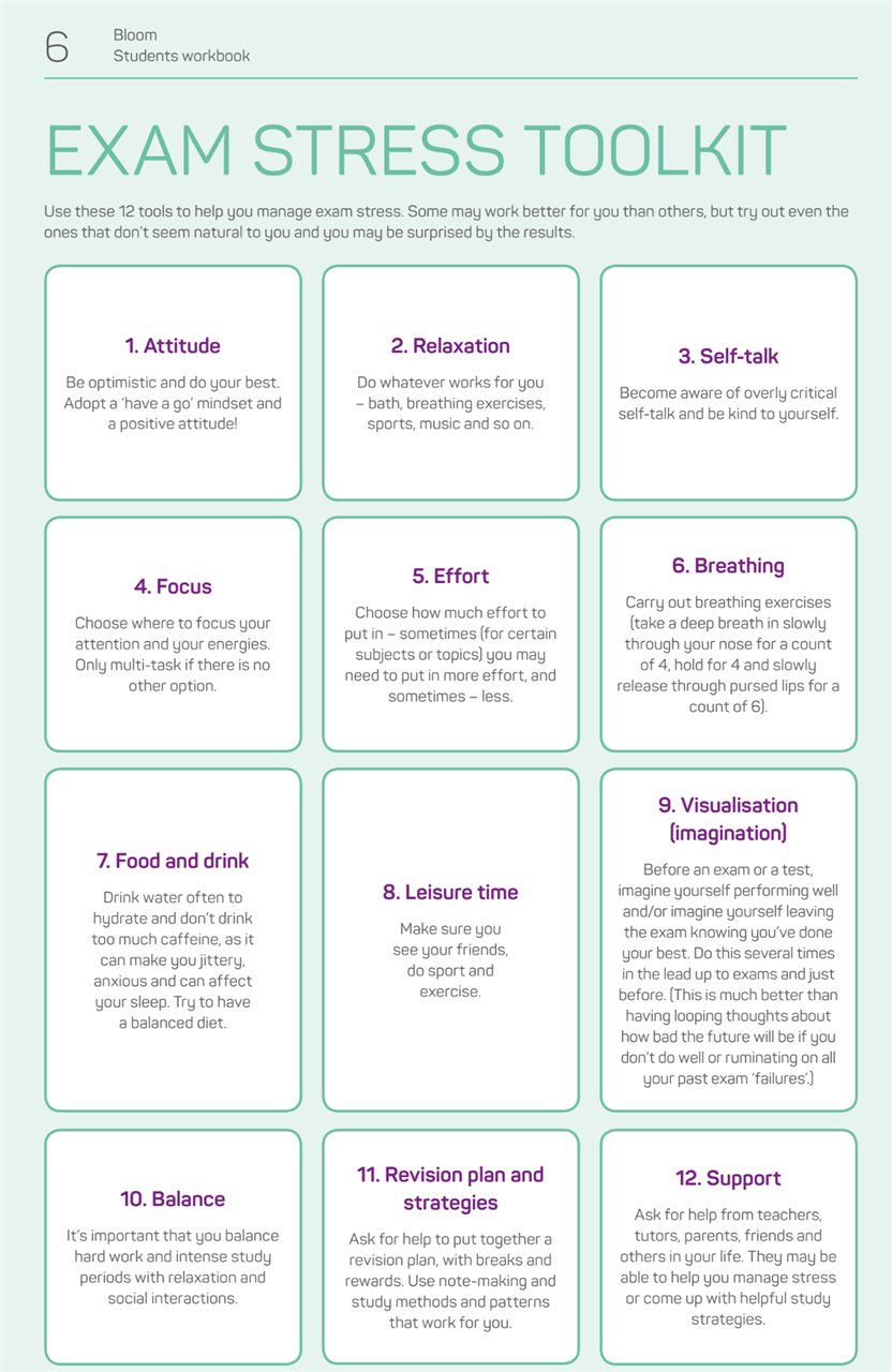 Bloom Programme — Redmaids' High Hub