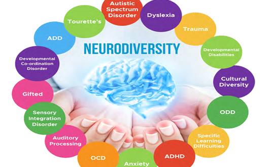 Week 11: Neurodiversity Week — Redmaids' High Hub